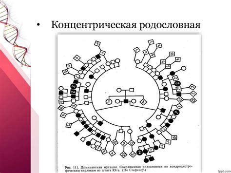Клинико-генеалогический метод исследования в медицинской генетики ...