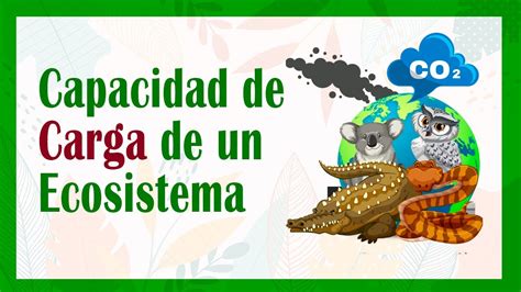 En Que Consiste La Capacidad De Carga 🌳🐅🐦 De Un Ecosistema ⛰🌎 Youtube