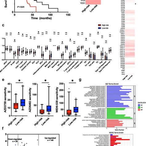 Tumor Microenvironment Analysis Between The High And Low Risk Groups