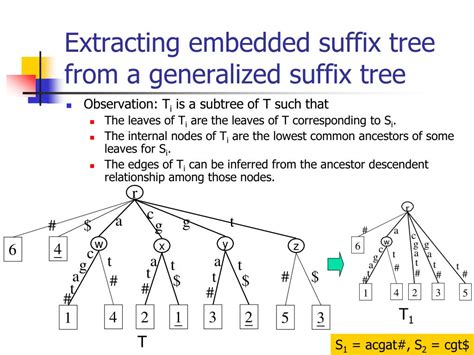 Ppt Algorithms In Bioinformatics A Practical Introduction Powerpoint