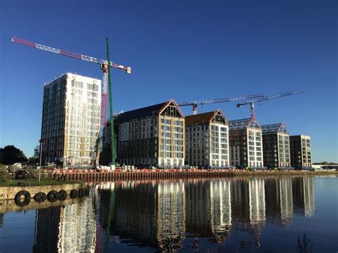 Shane Corcoran Posted On Linkedin