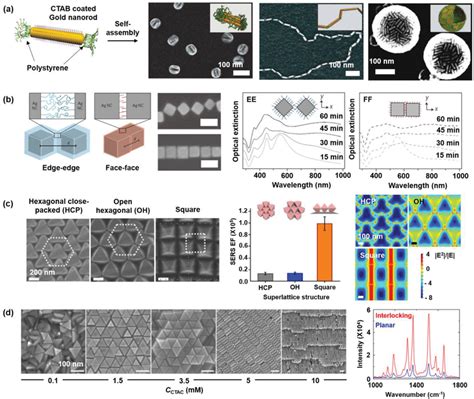 Orientation‐controlled Self‐assembly Of Nonspherical Plasmonic Download Scientific Diagram