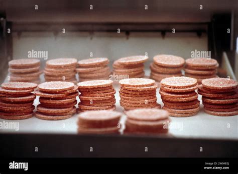 Assemble Line Manufacturing Facility That Produces Frozen Hamburger