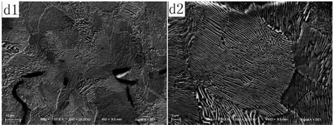Effect Of Alloying Element Mo On Microstructure Of High Strength Gray Cast Iron Zhy Casting