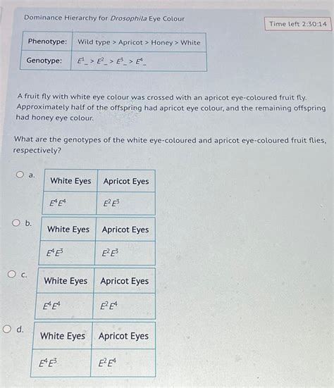 Solved Dominance Hierarchy For Drosophila Eye Colourtime