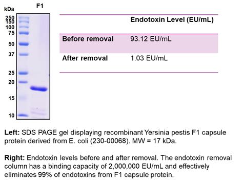 Quality Control Testing Services Raybiotech Raybiotech