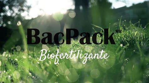 Bacpack Youtube