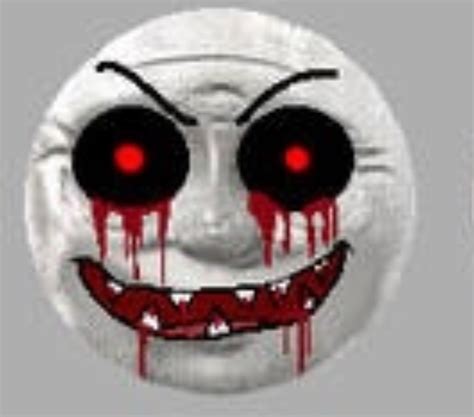 New Timothy Faces Fandom