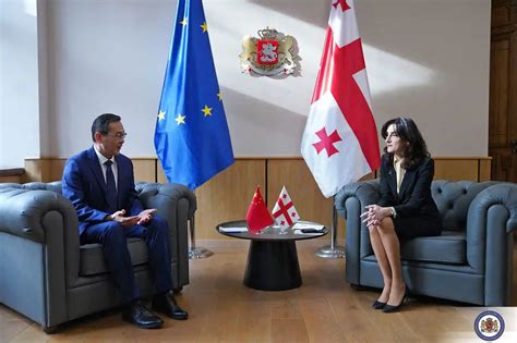 Georgian Foreign Minister Met Chinese Ambassador