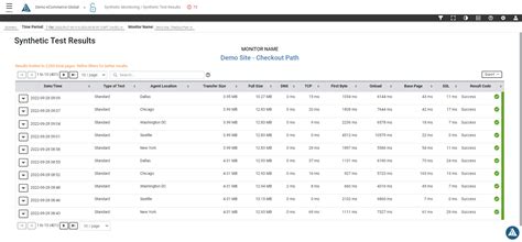 The Synthetic Test Results Page Blue Triangle Help Center