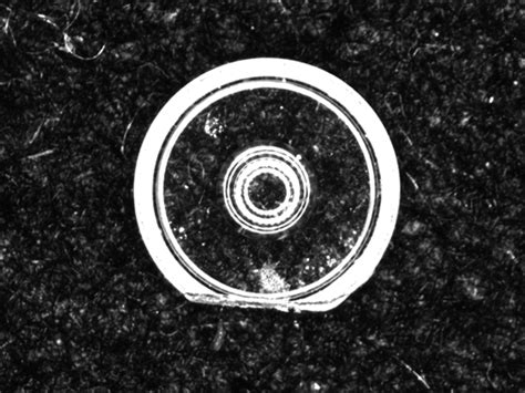 机器视觉之摄像头透镜方向判断 视觉方案 Labview视觉 机器视觉 图像处理 工业相机 工业镜头 机器视觉光源 电源控制器 Vision Halcon 石鑫华视觉