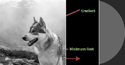 List Nyu Inet Curated By Mina Ghashami Medium