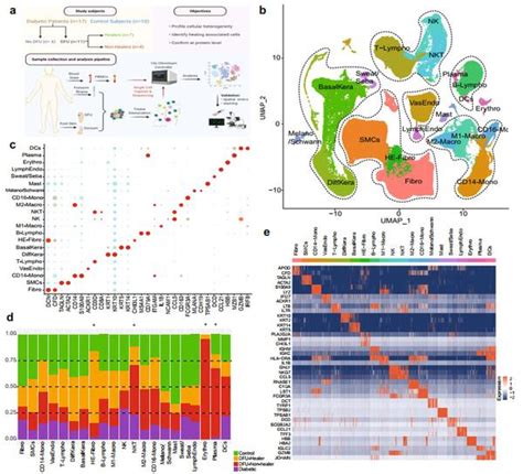 科研盘点 当糖尿病研究遇上单细胞测序技术 知乎