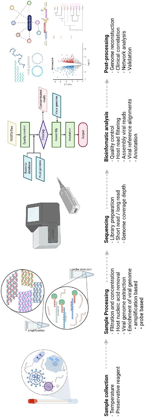 The Workflow Of Virome Research Based On Metagenomic Technique Figure