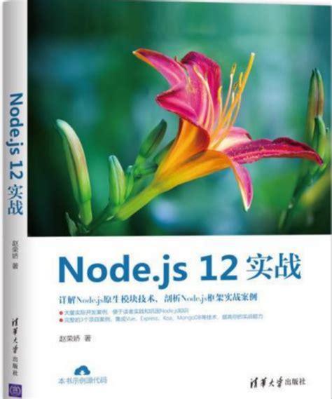 node js 12实战 百度百科