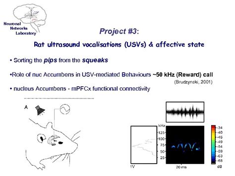Neuronal Networks Laboratory Sorting The Connections With Multi Electrode