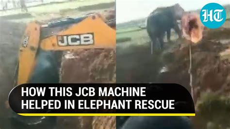 Viral Netizens Hail ‘saviours As Jcb Machine Helps Rescue Elephant From Ditch Hindustan Times