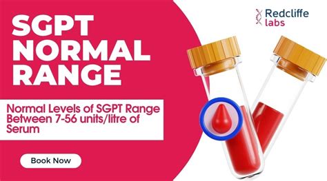 Sgpt Alt Test Price Normal Range And Report Guide