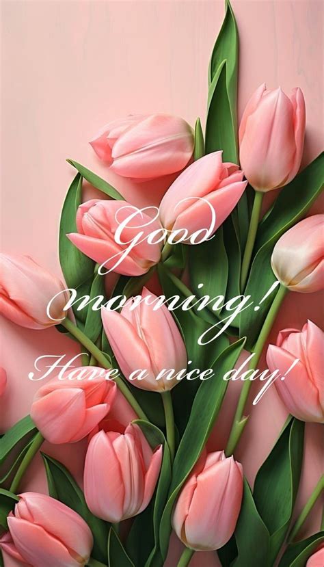 Good Morning Belas Fotos De Flores Imagens De Flores Ilustrações Florais