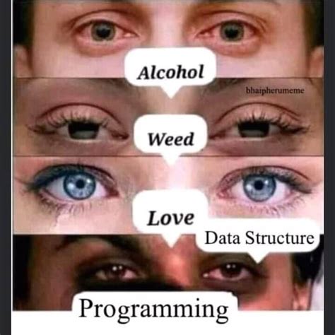 so true r programmerhumor