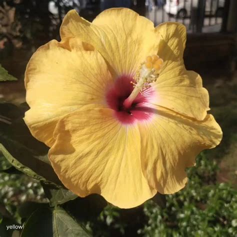 advocate samiksha patil on linkedin as a lawyer i have always been fascinated by the power of