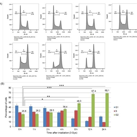 Figure S Related To Figure A FACS Analysis Of Cells At Different Download Scientific