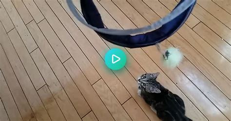 Too Slow Album On Imgur