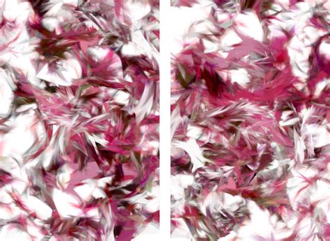 Casey Reas Dam Projects