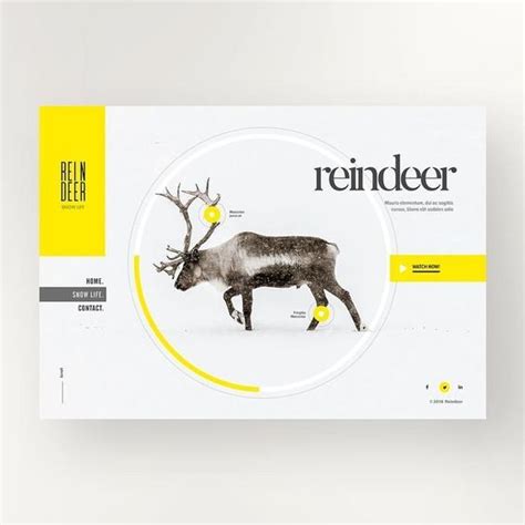 Design Graphicdesign Programming Creative Coding Webdevelopment Javascript Web Css