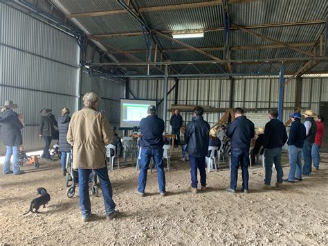 LoRaWAN Technology Expands In Goondi Region Macintyre Ag Alliance