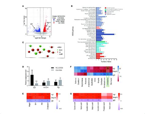 Transcriptome Sequencing Validation And Correlation Analysis Of