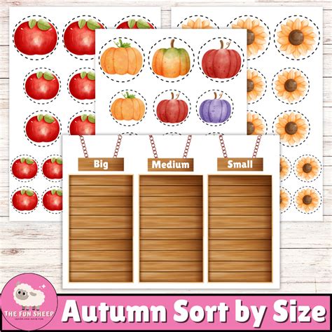 Autumn Sort By Size Size Sorting Activity Fall Pumpkins Apples Sunflowers Made By Teachers