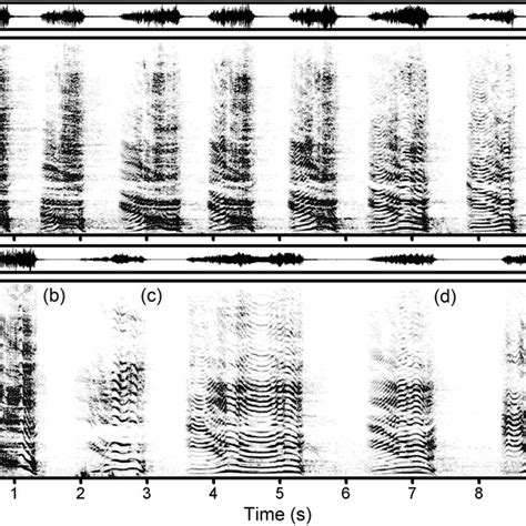 Spectrogram Below And Wave Form Above Of Natural Roaring Bouts Of