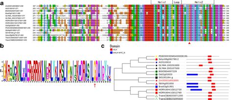 Protein Sequence And Phylogenetic Analysis A Multiple Sequence