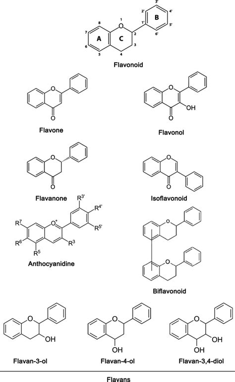 Basic Structure Of Various Flavonoids Download Scientific Diagram