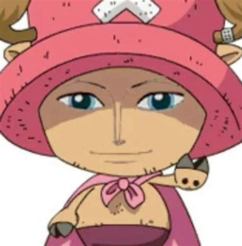 Nico Chopper Anime Engraçado One Piece Engraçado Anime