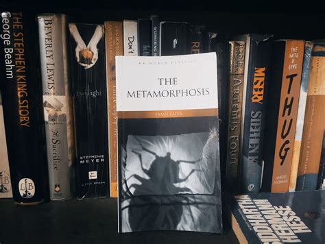 Should You Put Your Leetcode Profile On Your Resumecv By Theconnoisseur Medium