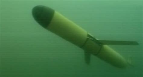 Biosfera Rtp Arquivos