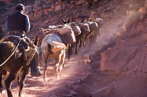 Phantom Ranch Grand Canyon Hike — Travel Is Beautiful