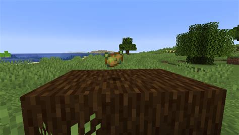 Top 9 Most Useless Blocks And Items In Minecraft