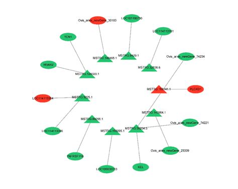 Interaction Network Diagram Of Differentially Expressed Lncrna And