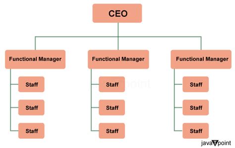 Difference Between Matrix And Functional Structure Tpoint Tech