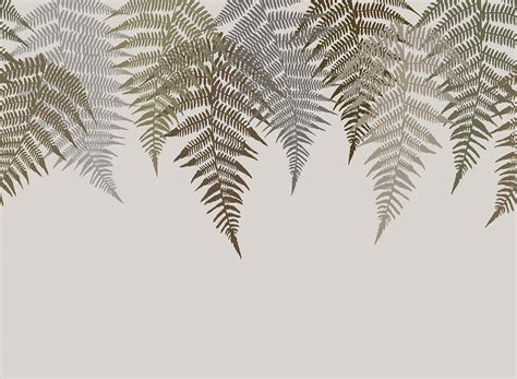 Classy Hanging Fern Leaves Wallpaper Mural Magicdecor®