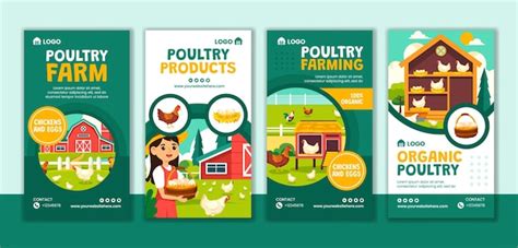 가금류 농장 소셜 미디어 이야기 평평한 만화 손으로 그린 템플릿 배경 일러스트 프리미엄 벡터