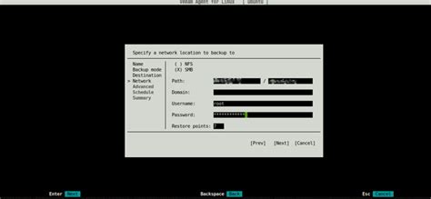Ubuntu Sunucularda Veem Linux Agent Ile Yedekleme Makdos Blog
