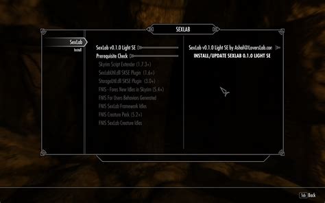 Sex Lab Mcm Install Doesnt Do Anything Technical Support Skyrim
