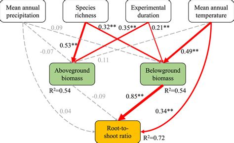 Path Analytic Representations Of Structural Equation Models Relating Download Scientific