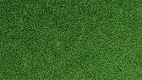 Premium Photo Detailed Green Grass Lawn Texture Top View 3d Rendering