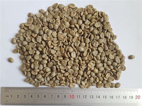 PRODUCTS Yunnan H C Import Export Corp Yunnan Coffee Coffee Beans
