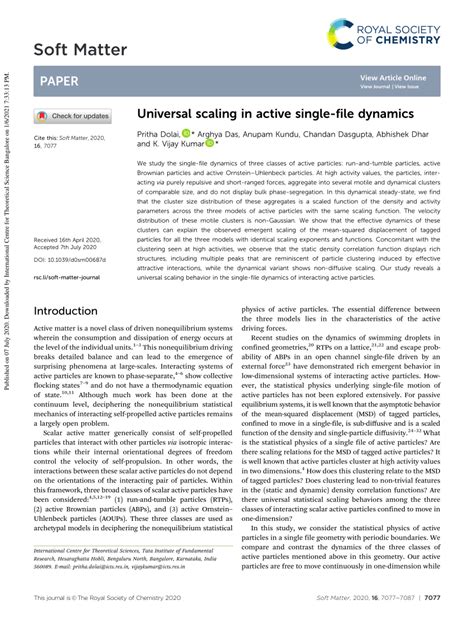 pdf universal scaling in active single file dynamics